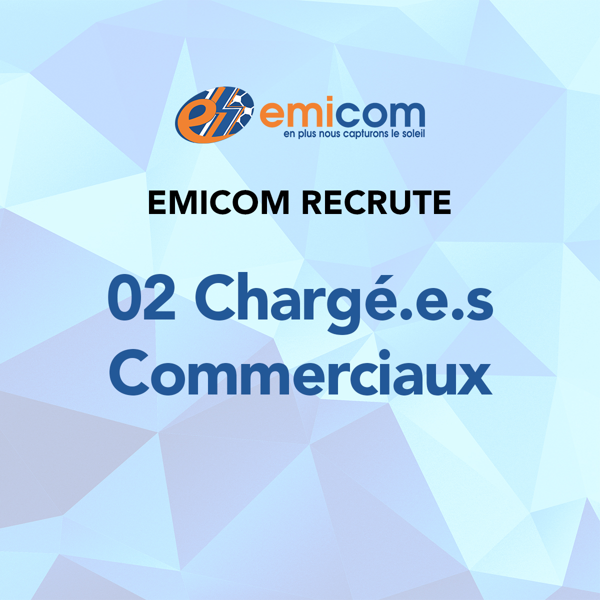 02 Chargé.e.s Commerciaux - EMICOM MALI